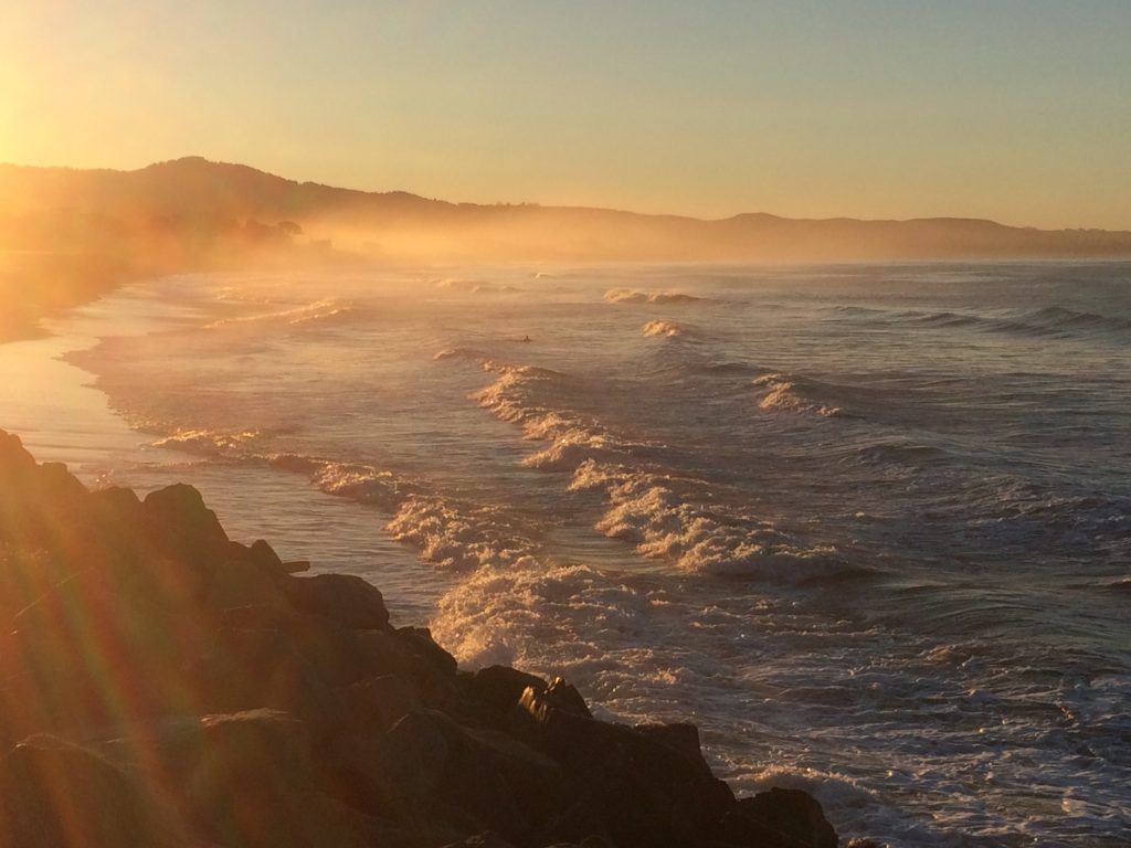 Impressions from the “Challenges in Ubiquitin and Autophagy Research ...